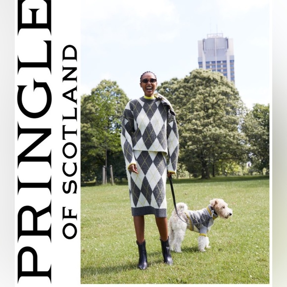 Pringle | Sweaters | Nwt Pringle Of Scotland X Hm Argyle Oversized Crop ...